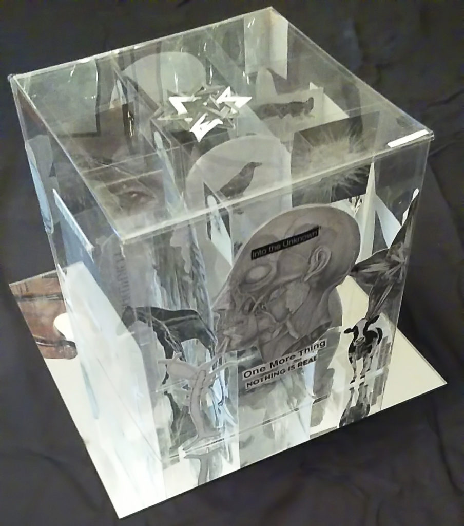 Dream Cube – TED GOERING